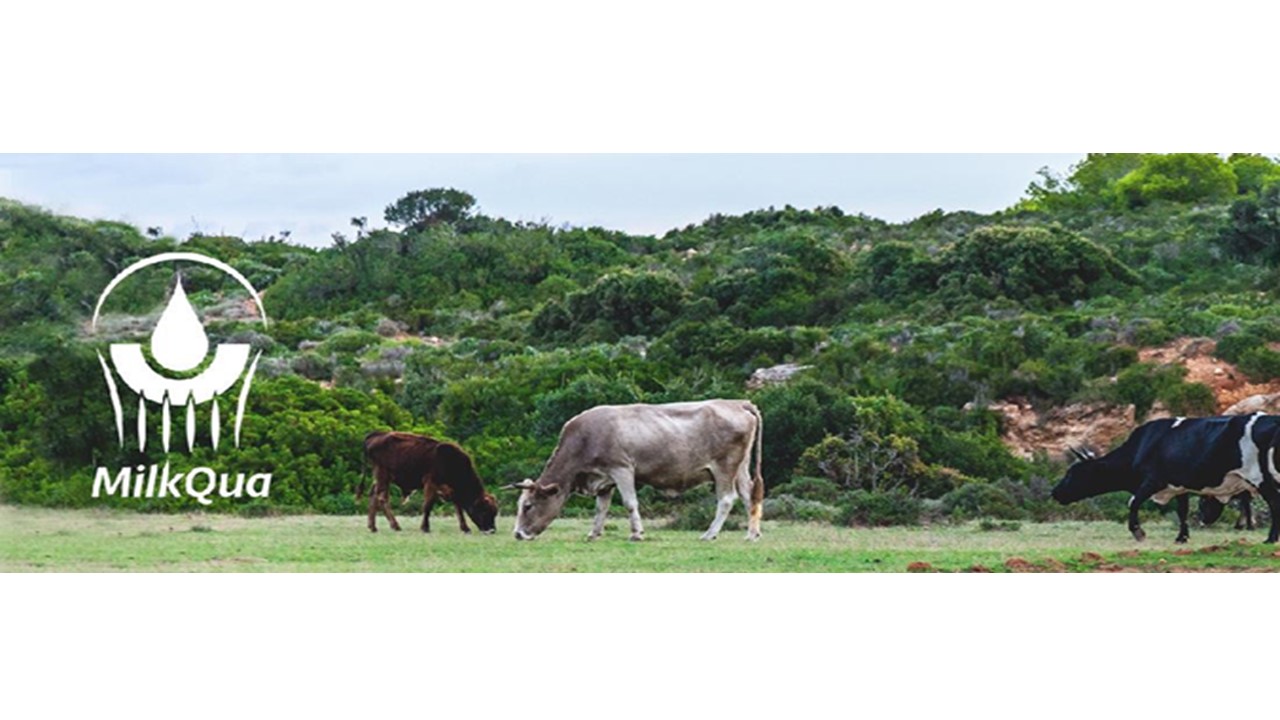 UMR STLO Site internet de l'unité